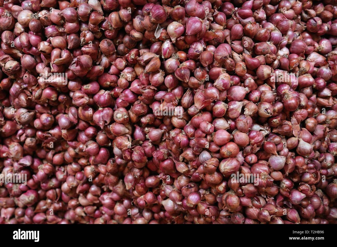 Red cambodia hi-res stock photography and images - Alamy