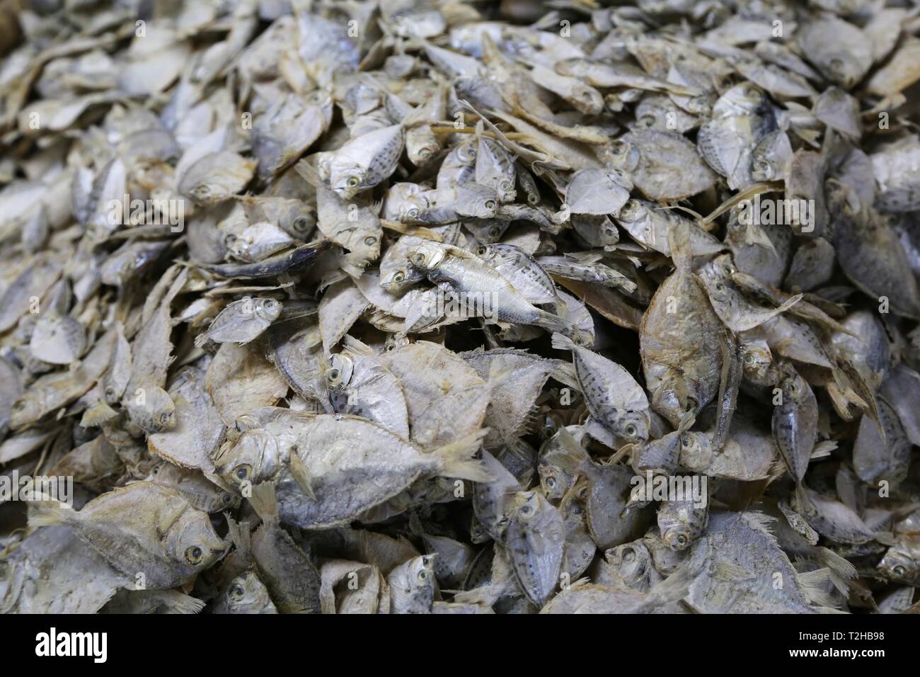 Dried fish at a market, Cambodia Stock Photo - Alamy