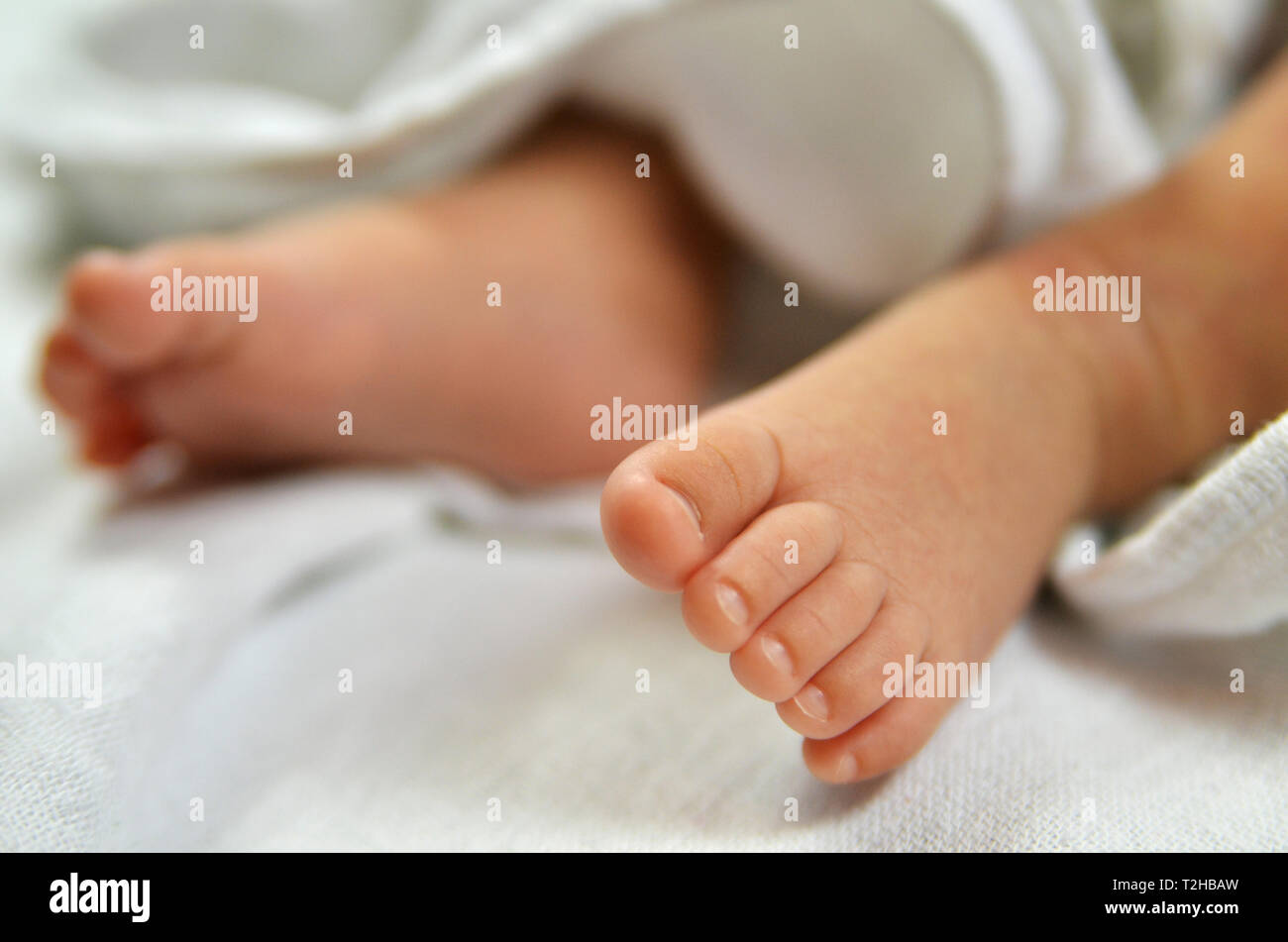 Cute baby feet hiding in white blanket Stock Photo - Alamy