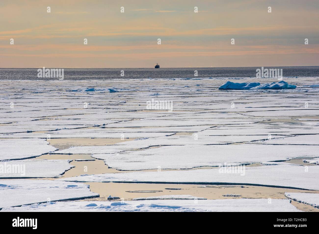 Pack ice, Arctic, Svalbard, Norway Stock Photo - Alamy