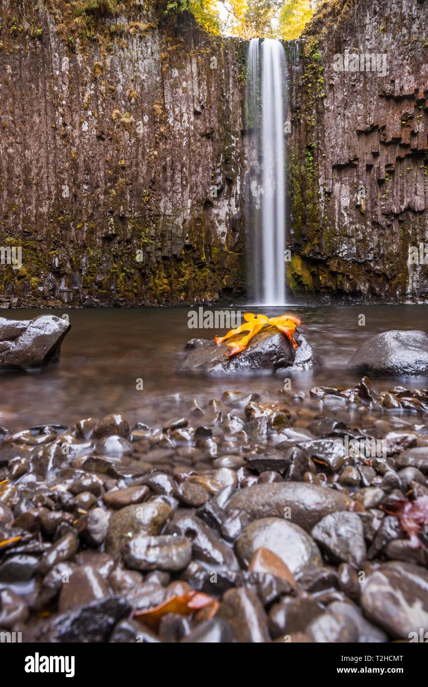 Waterfall, Abiqua Falls, Oregon, USA Stock Photo - Alamy