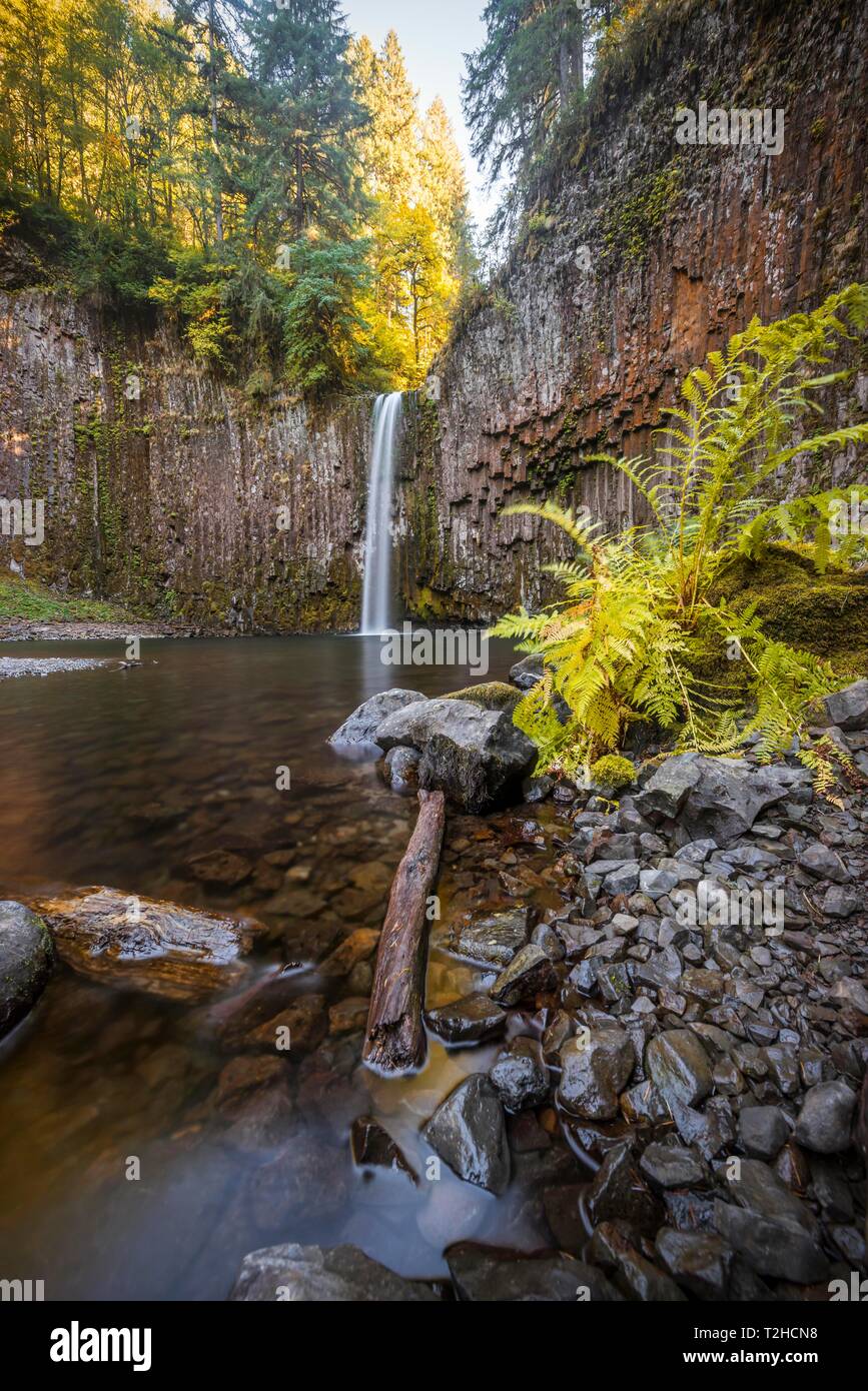Waterfall, Abiqua Falls, Oregon, USA Stock Photo - Alamy