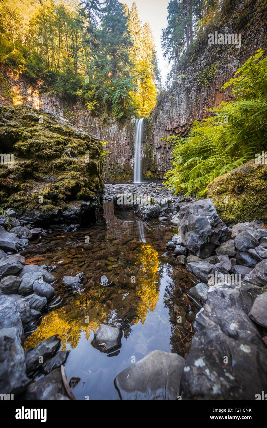 Waterfall, Abiqua Falls, Oregon, USA Stock Photo - Alamy