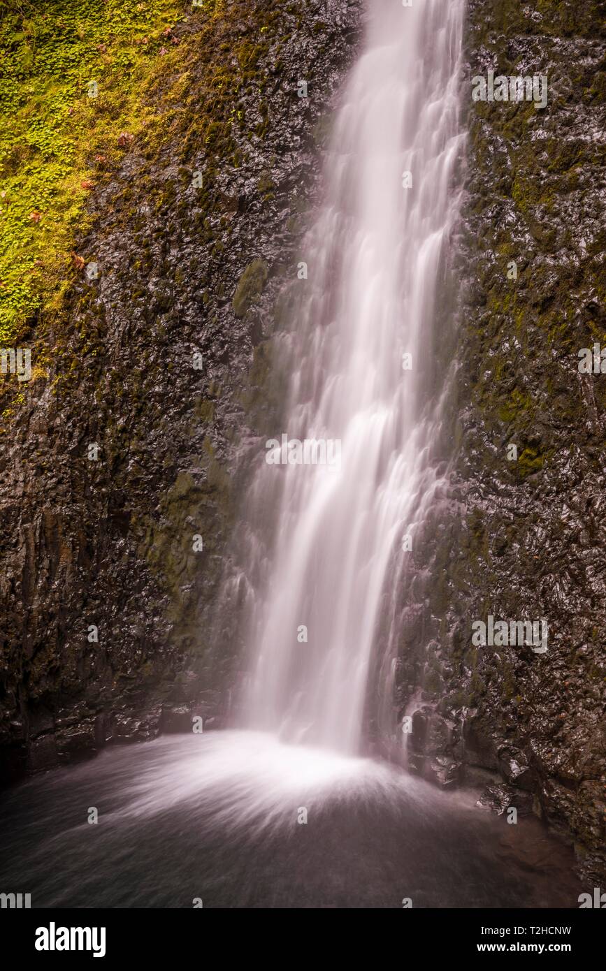 Silver falls state park water hi-res stock photography and images - Alamy