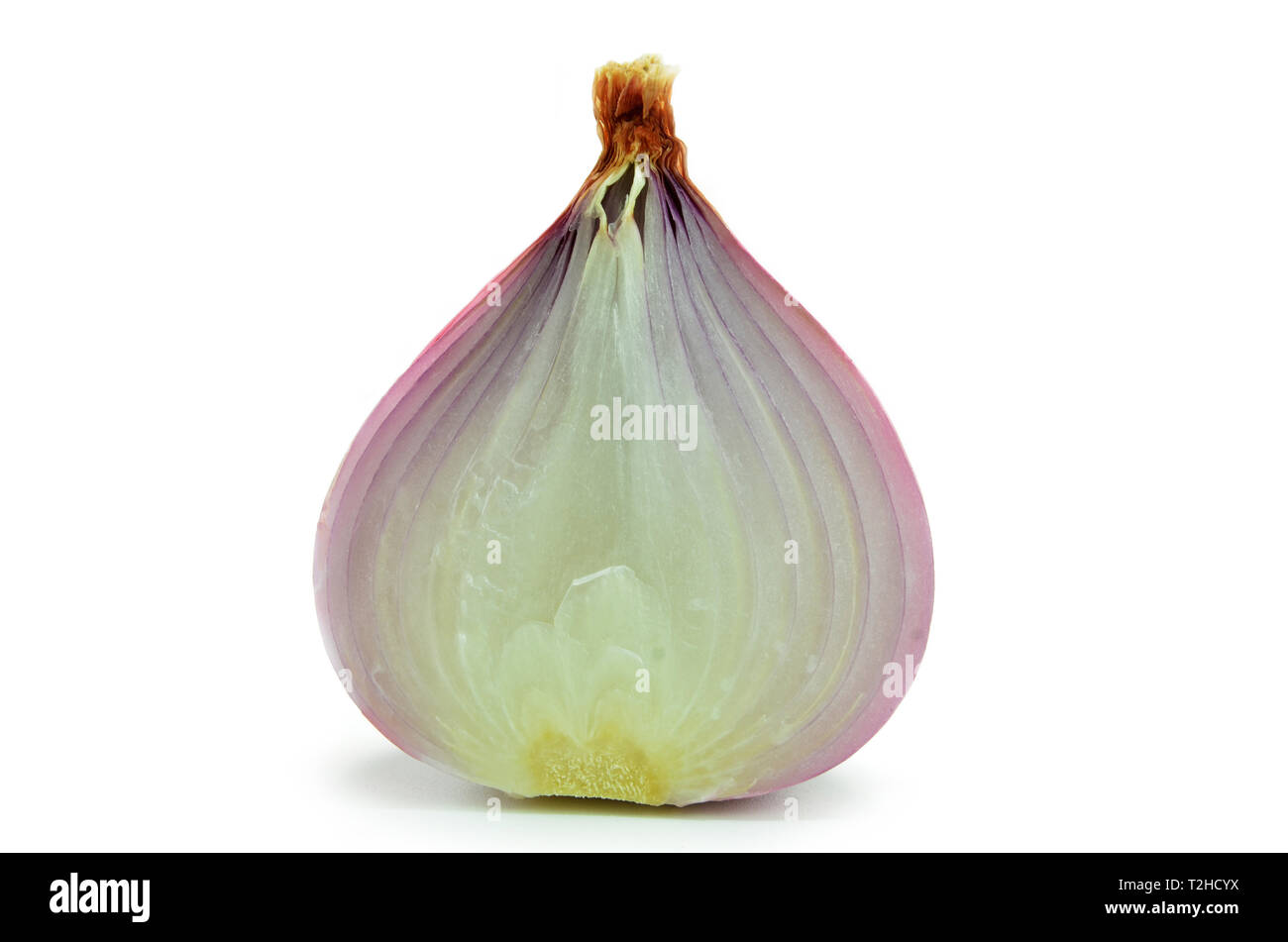 Shallot isolated on white background. Vegetable concept Stock Photo - Alamy