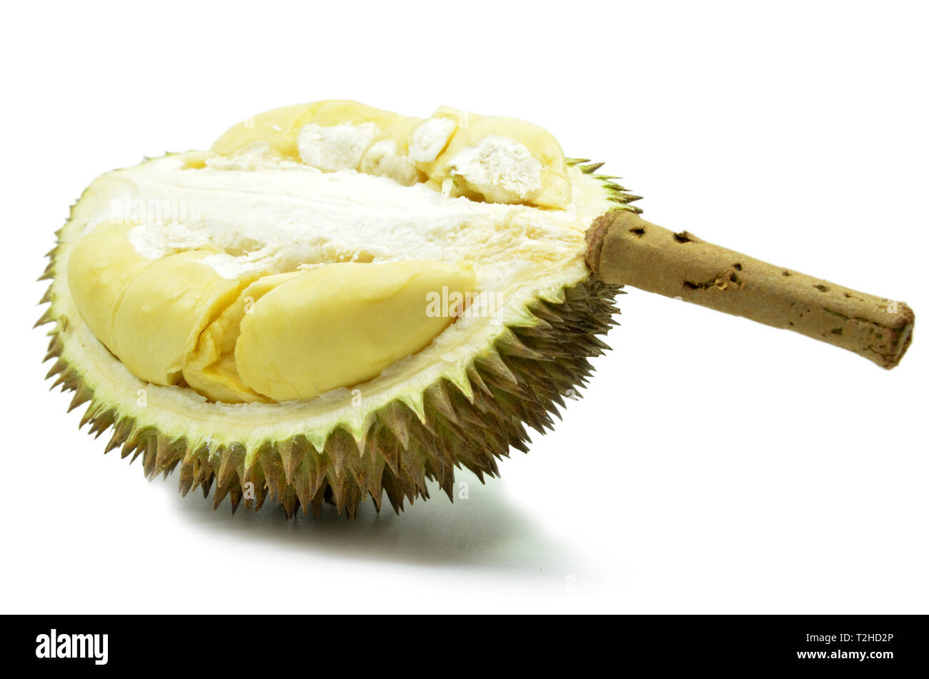 Durian fresh an isolated on white background Stock Photo - Alamy