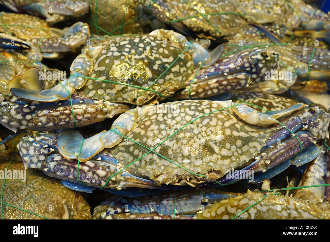 Sale of fresh crabs in the Asian public store Stock Photo - Alamy