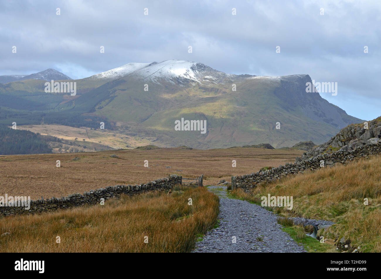 Nantlle Ridge viewed from deviated trail off the Rhyd Ddu path ...