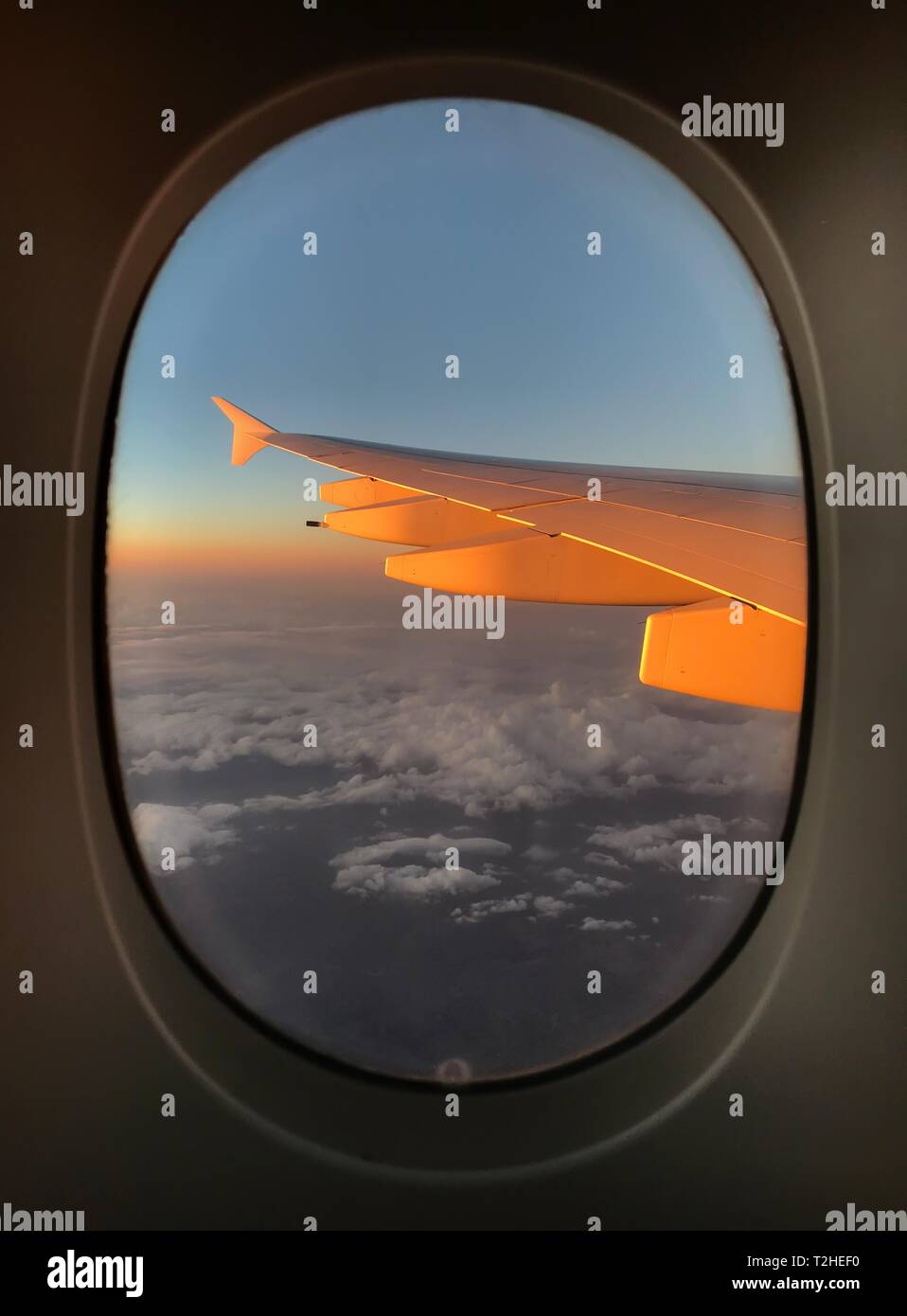 Window seat in airplane, Window with wing at sunset, Germany Stock ...