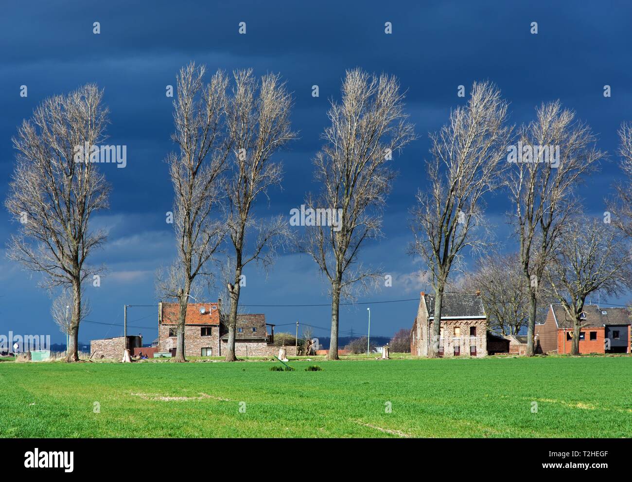 Abandoned village pier near inden hi-res stock photography and images ...
