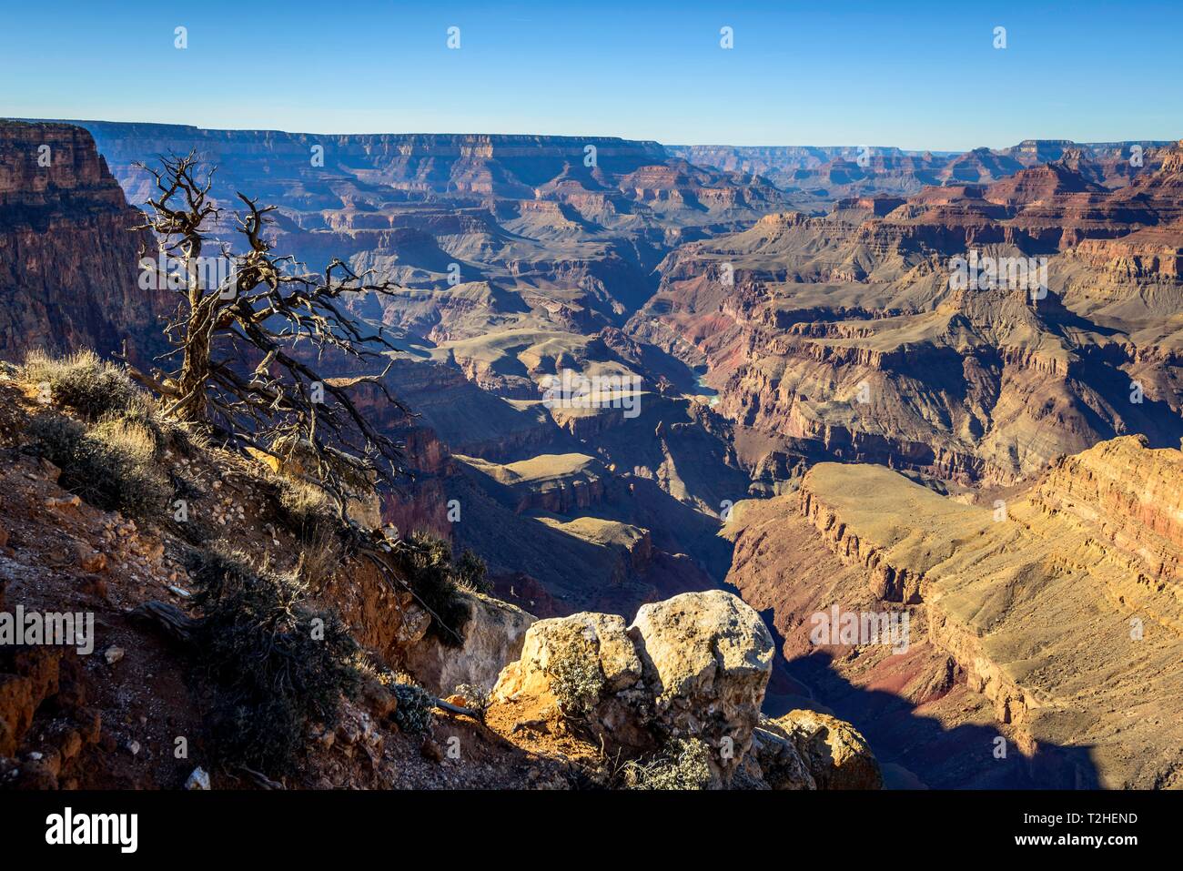 Canyon landscape, gorge of the Grand Canyon, Colorado River, eroded ...