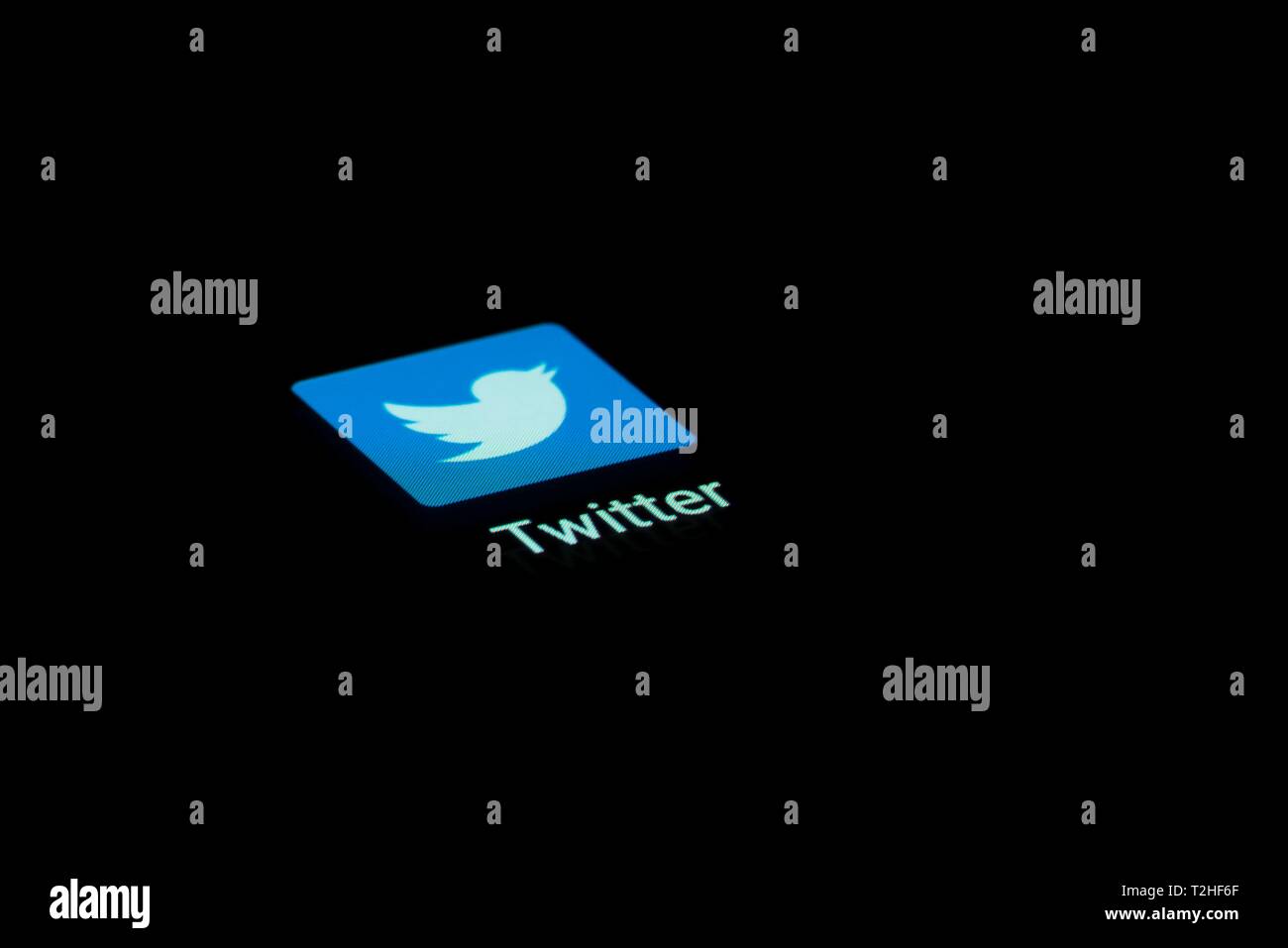Twitter app icon on a display, social network, social media, mobile ...