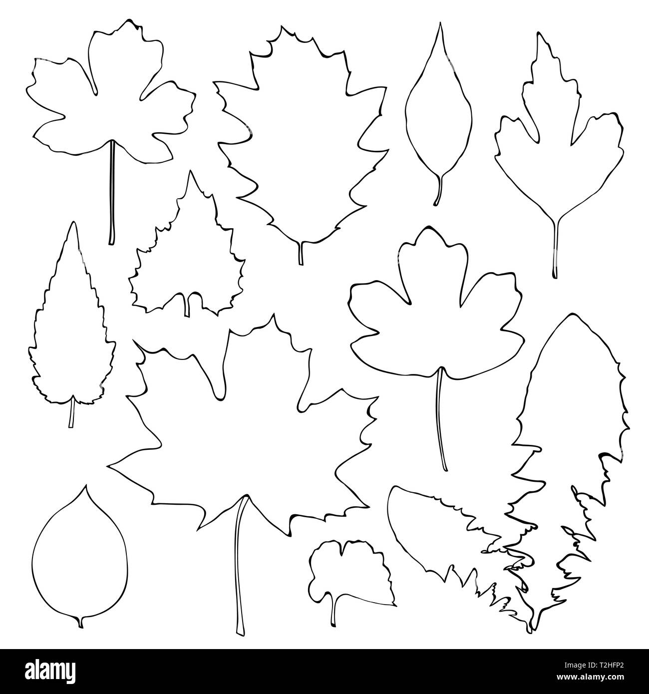 Outline leaves set isolated on white background vector Stock Vector ...