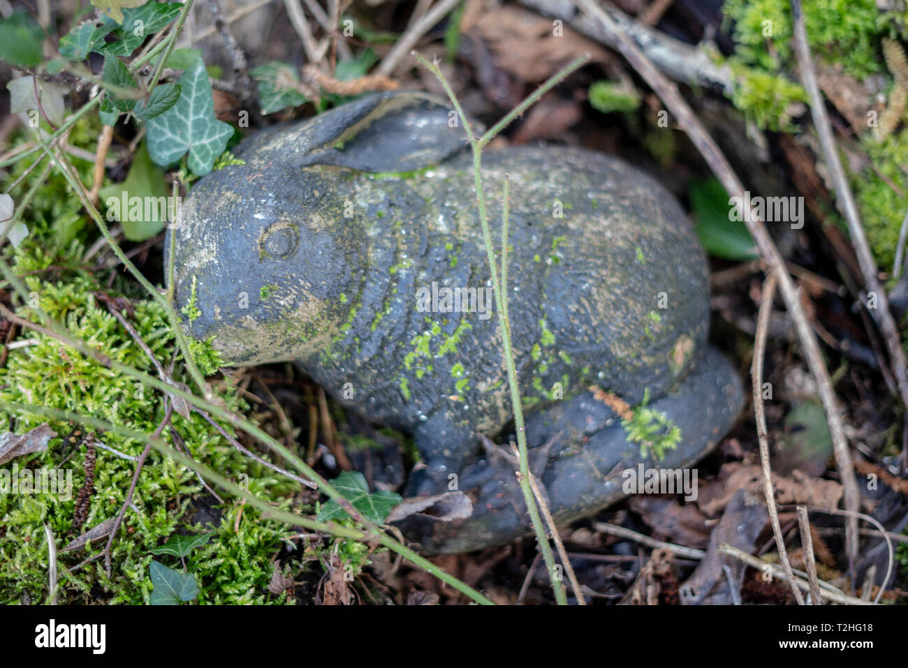 Stone rabbit statue left to nature Stock Photo - Alamy