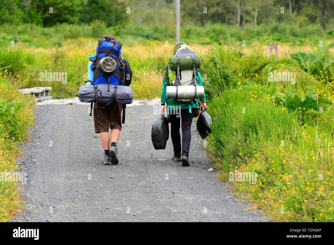 Tourists hiking with loaded backpacks, outdoor tourism, temperate ...