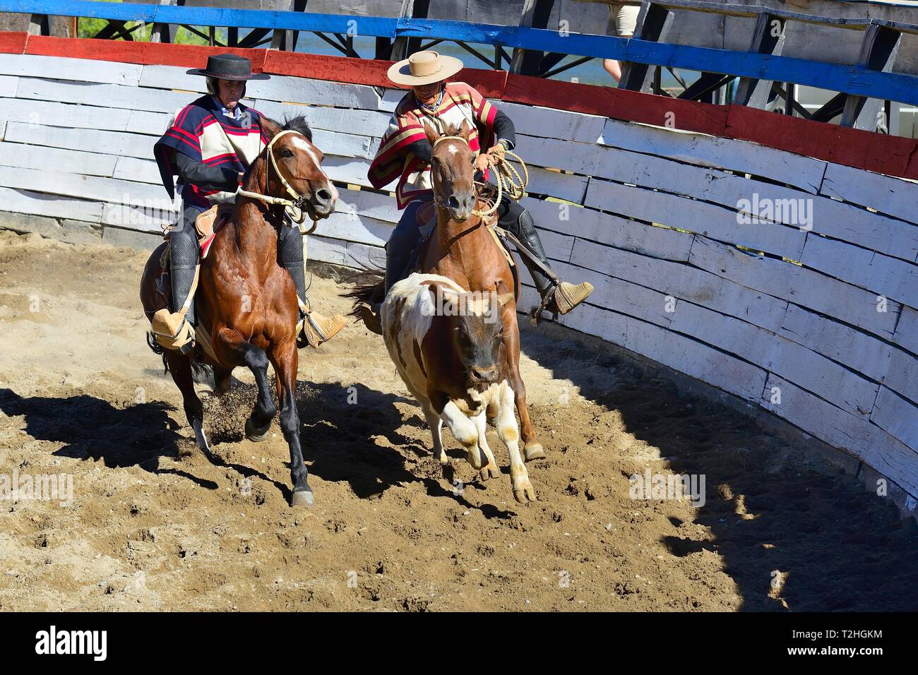Two riding cowboys hi-res stock photography and images - Alamy