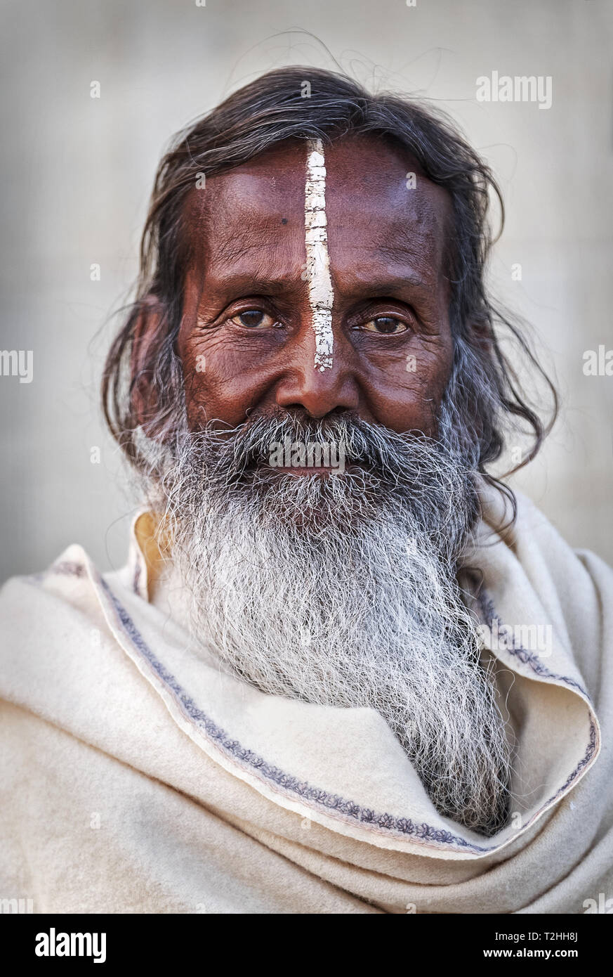White facial stripe hi-res stock photography and images - Alamy