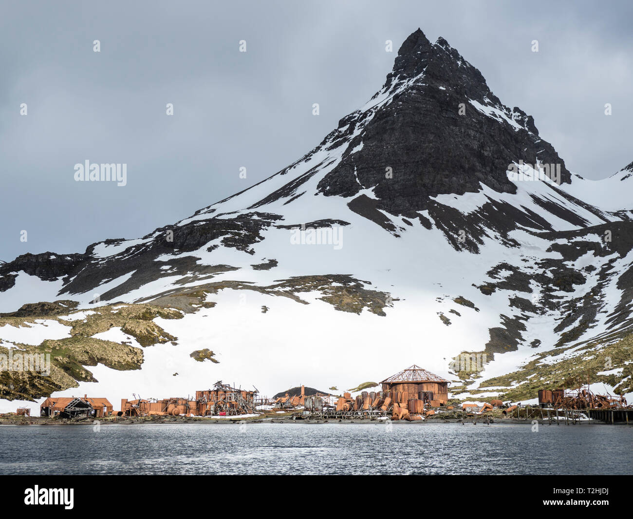 Prince olav harbour south georgia hi-res stock photography and images ...