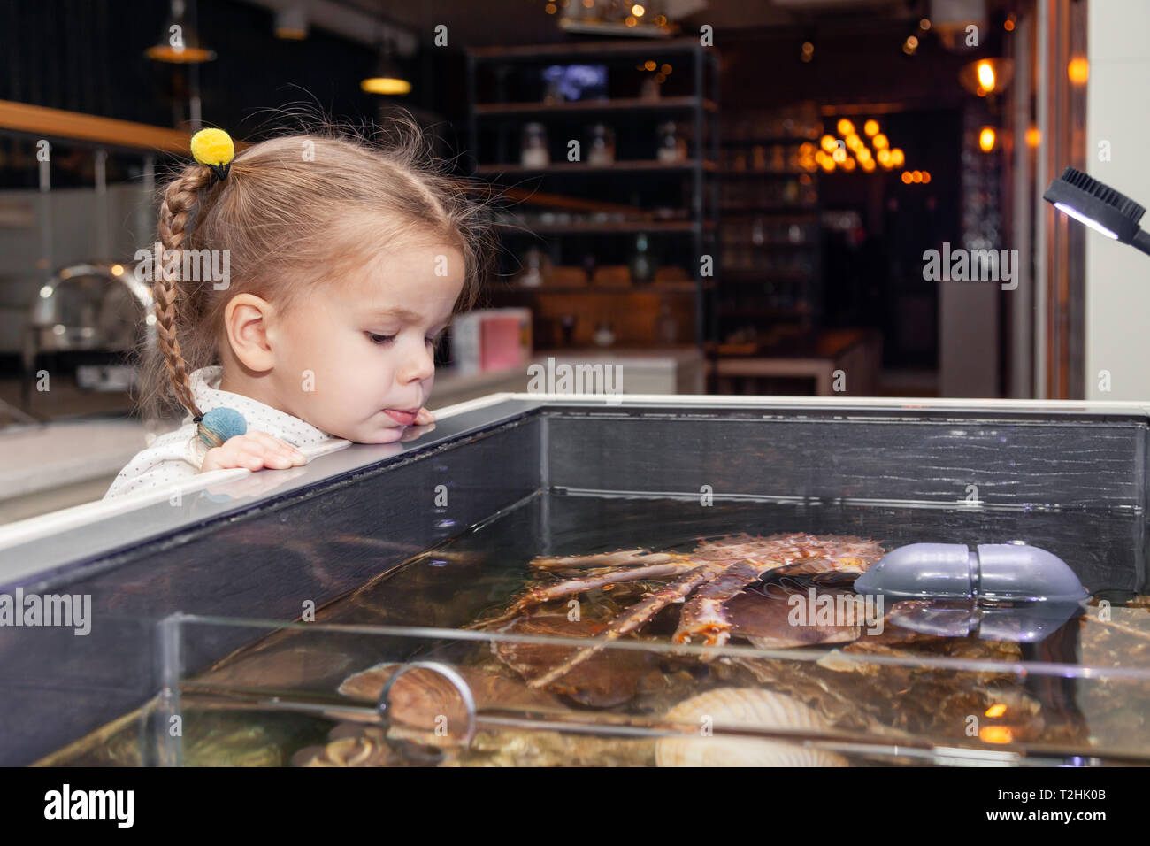 Little cute child baby girl baby look at crab and oysters in aquarium ...