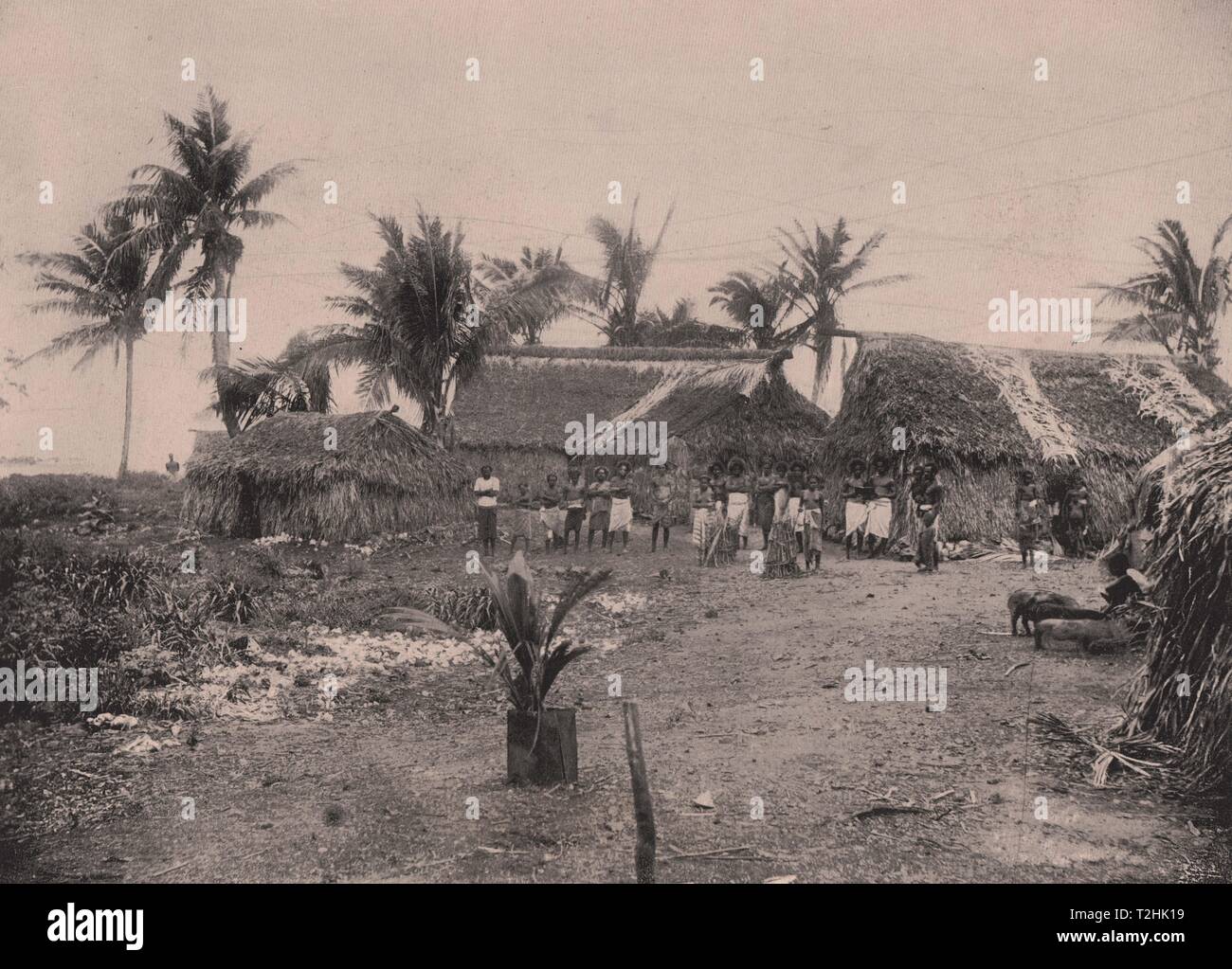 19th century samoa hi-res stock photography and images - Alamy