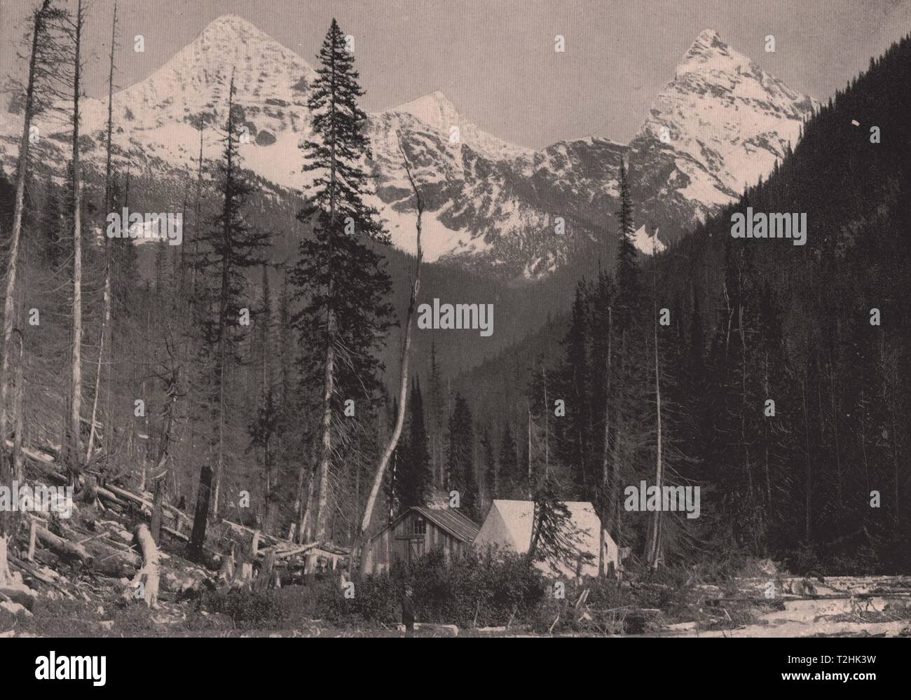 Eagle Peak and Mount Sir Donald, British Columbia Stock Photo - Alamy
