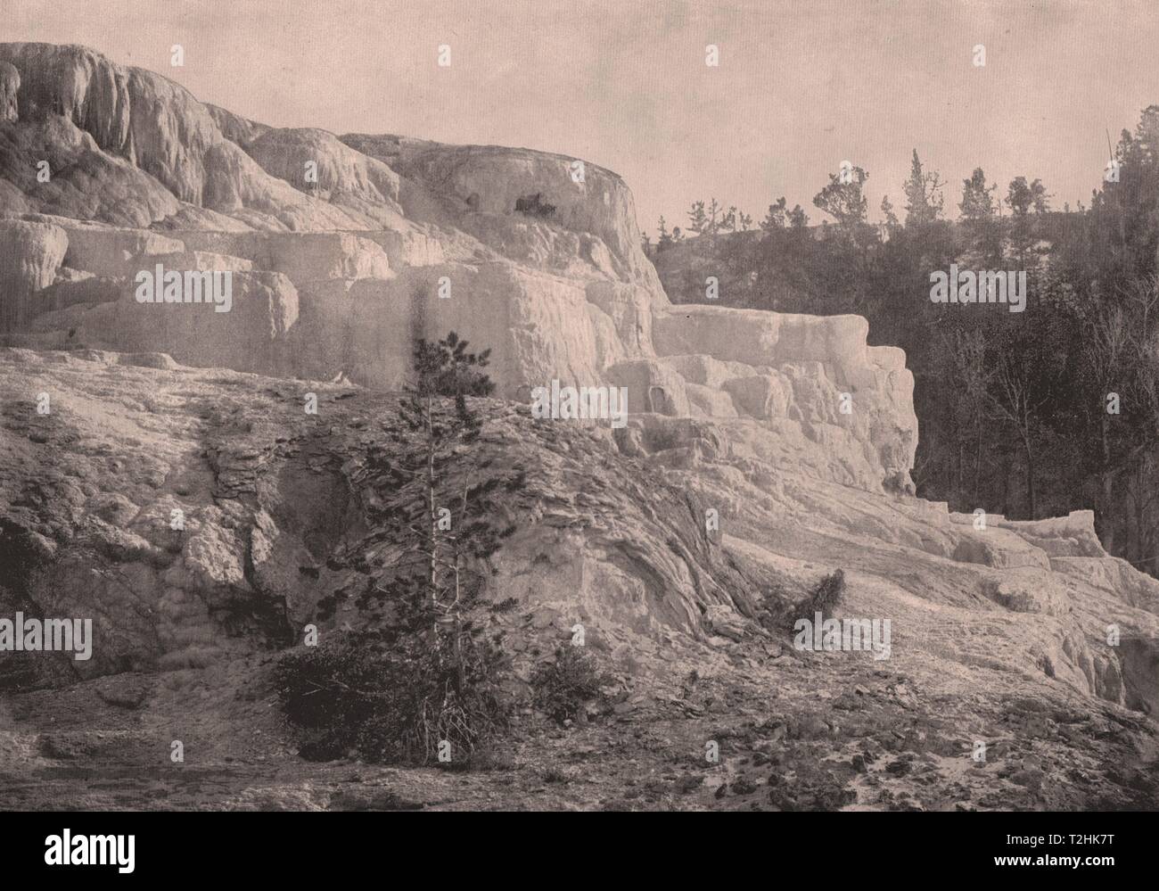 Cleopatra Terrace, Mammoth hot springs, Yellowstone Park Stock Photo ...
