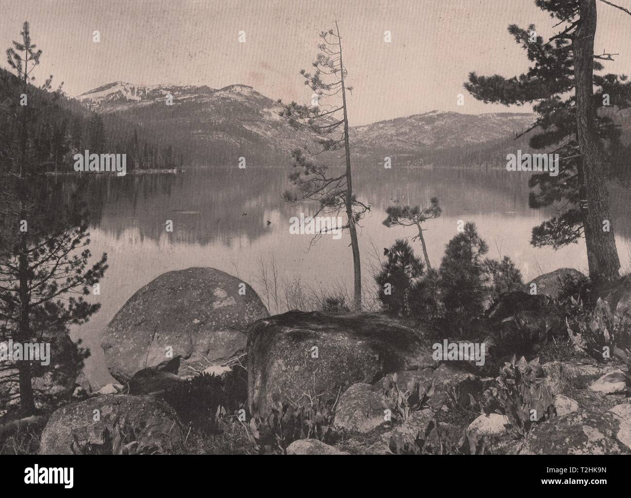 Donner lake, California Stock Photo - Alamy