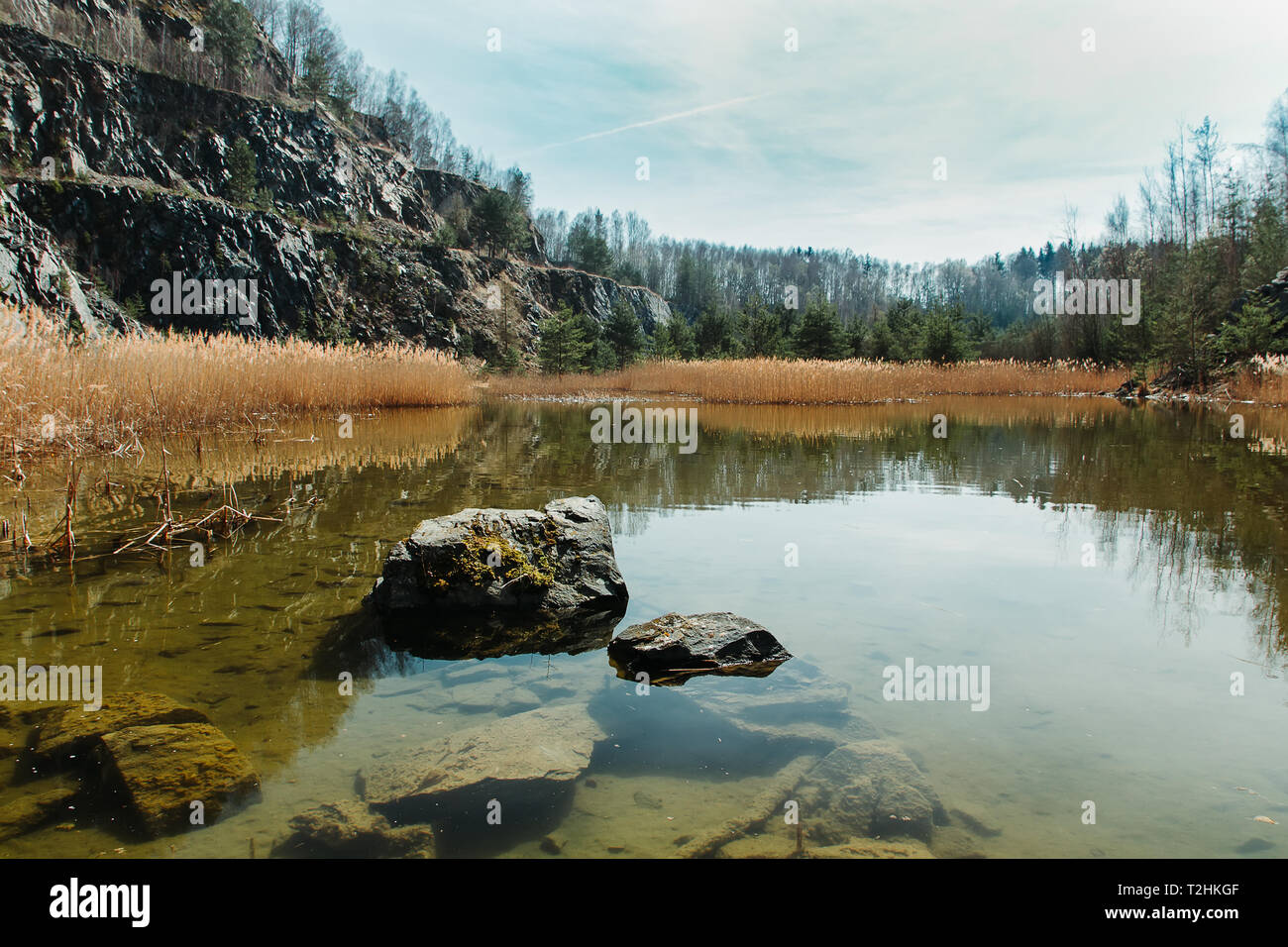 Stone in water in swamped quarry with high dry grass and rock, Czech ...
