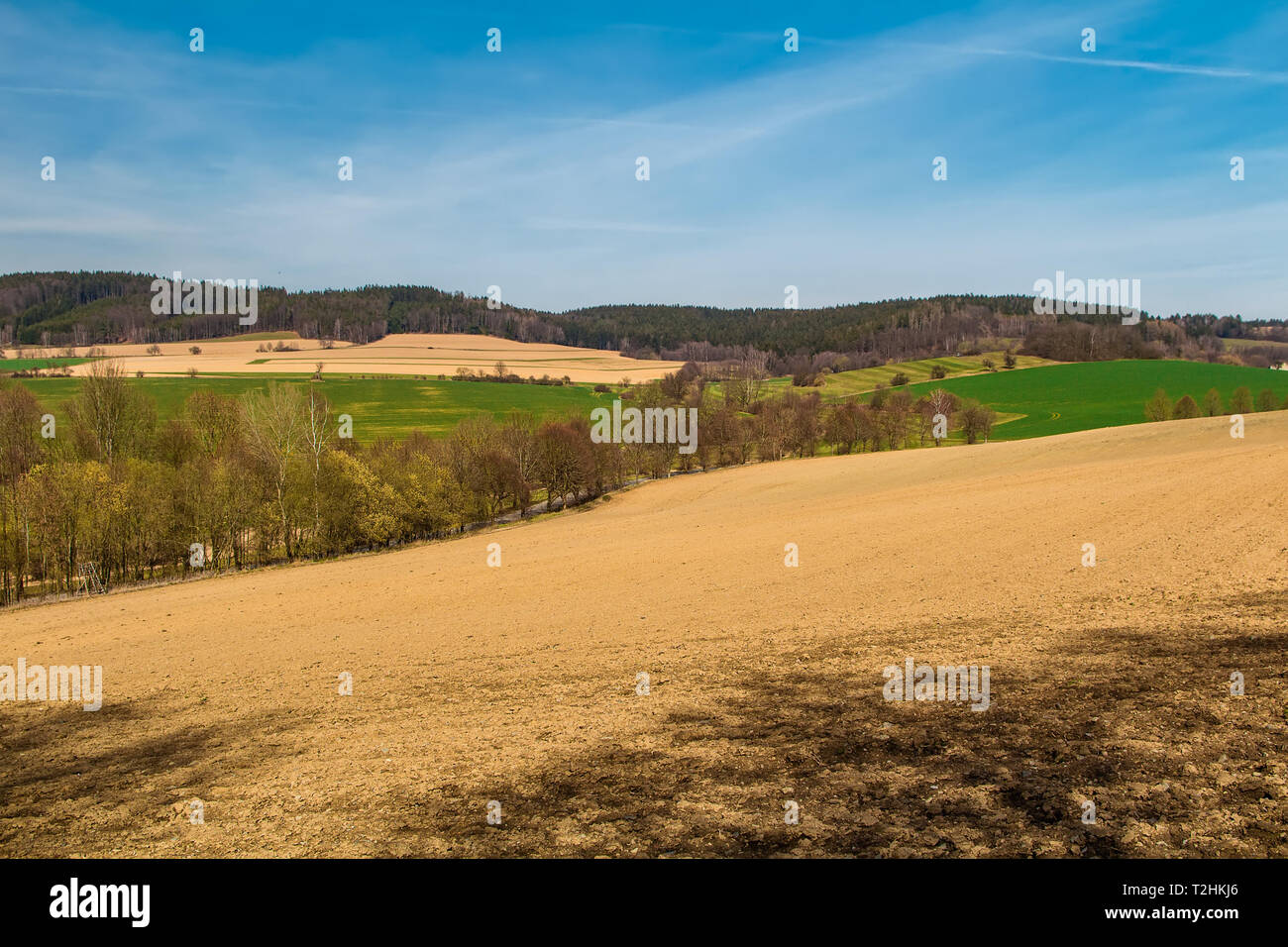 Spring field and meadow with trees, Czech landscape Stock Photo - Alamy