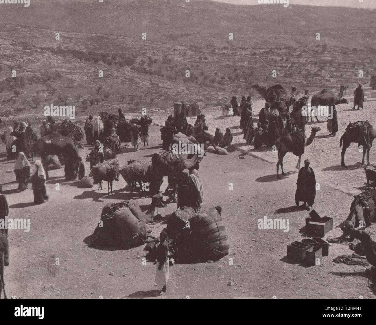 Market at bethlehem hi-res stock photography and images - Alamy