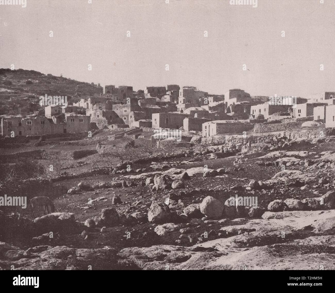 Bethlehem shepherd hi-res stock photography and images - Alamy