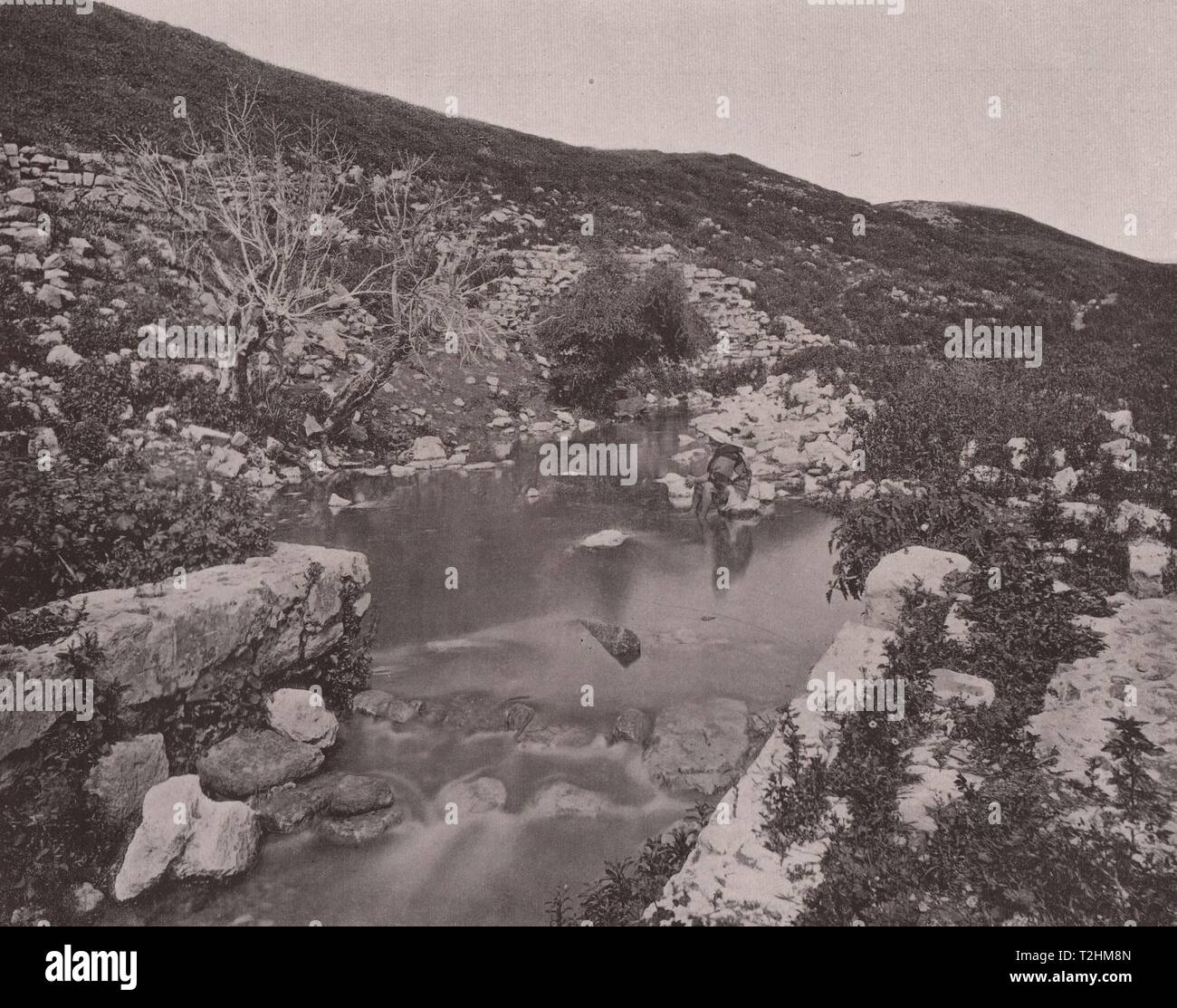 Elisha Spring High Resolution Stock Photography and Images - Alamy