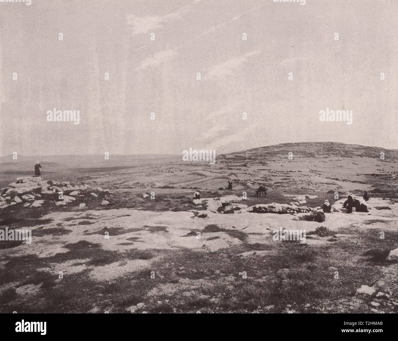 Ziph Stock Photos & Ziph Stock Images - Alamy