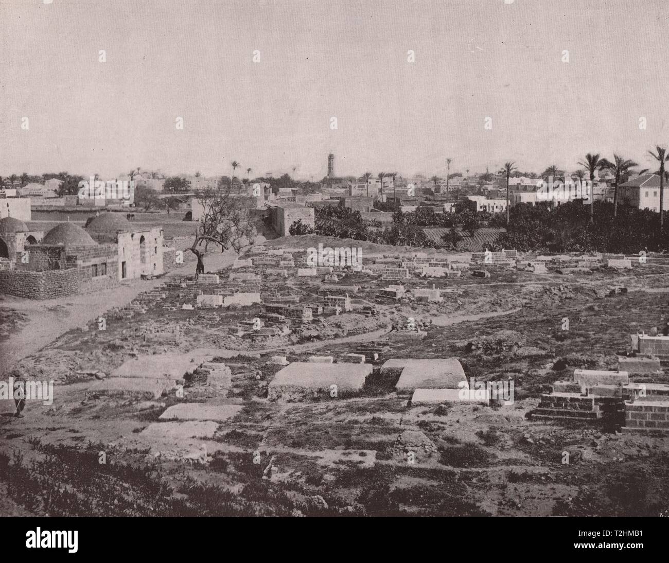 Land of gaza hi-res stock photography and images - Alamy