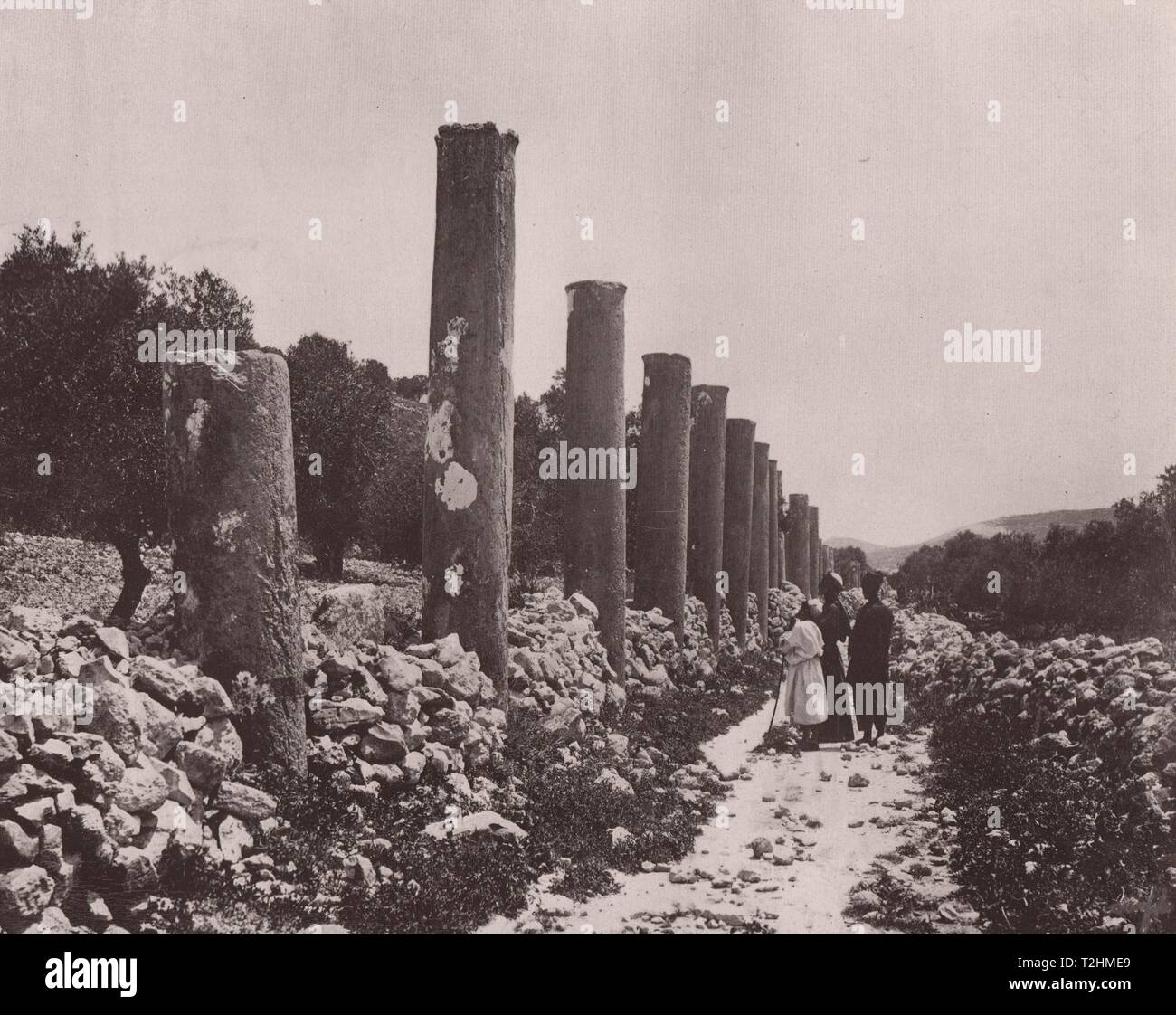 Sebaste samaria hi-res stock photography and images - Alamy