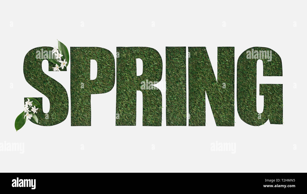 top view of cut out spring lettering on green grass background with ...