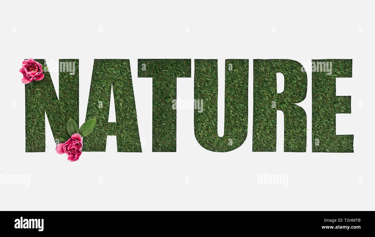 top view of cut out nature lettering on green grass background with ...