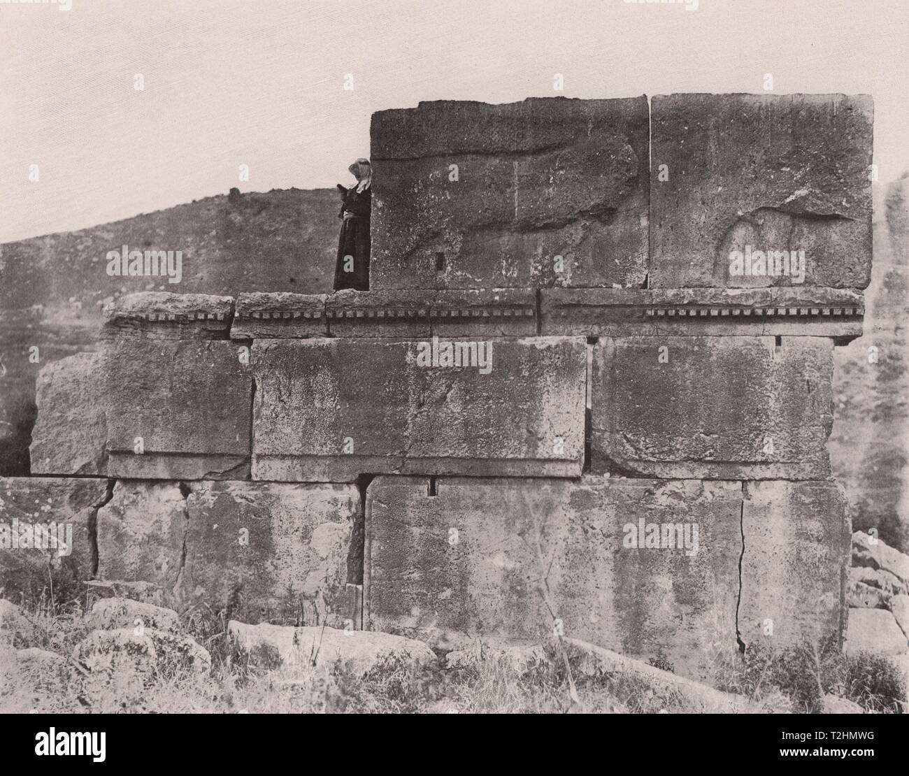 Arak arak hi-res stock photography and images - Alamy