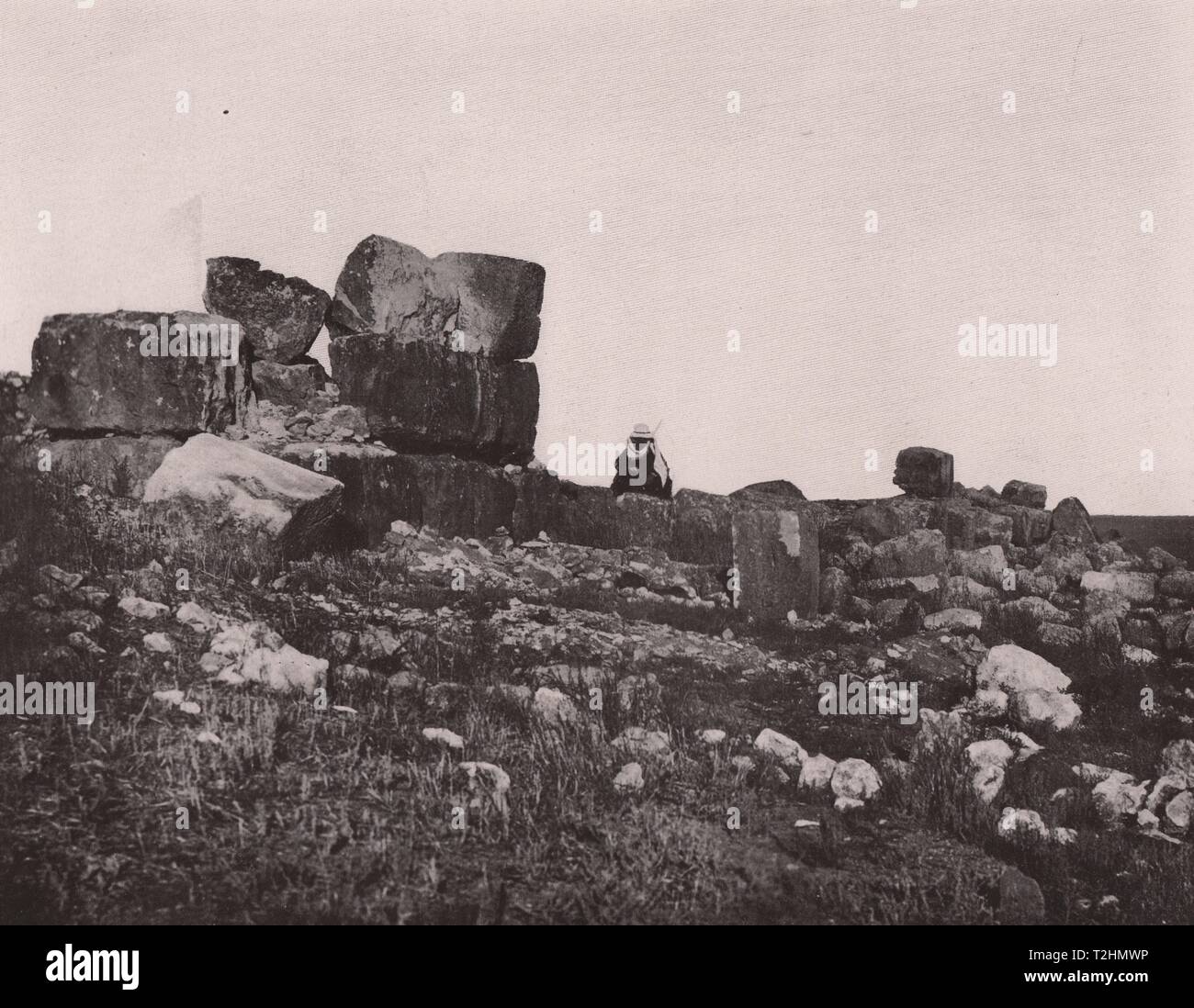 Feden hi-res stock photography and images - Alamy