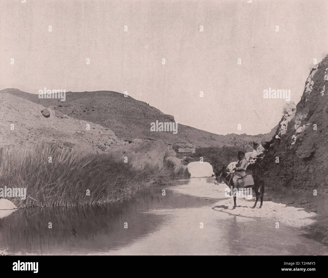 Aroer hi-res stock photography and images - Alamy