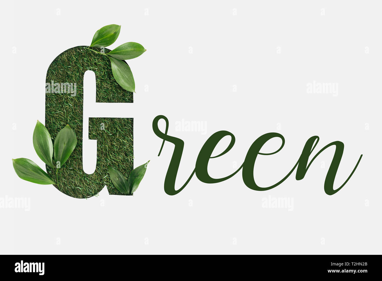 top view of green lettering with leaves isolated on white Stock Photo ...