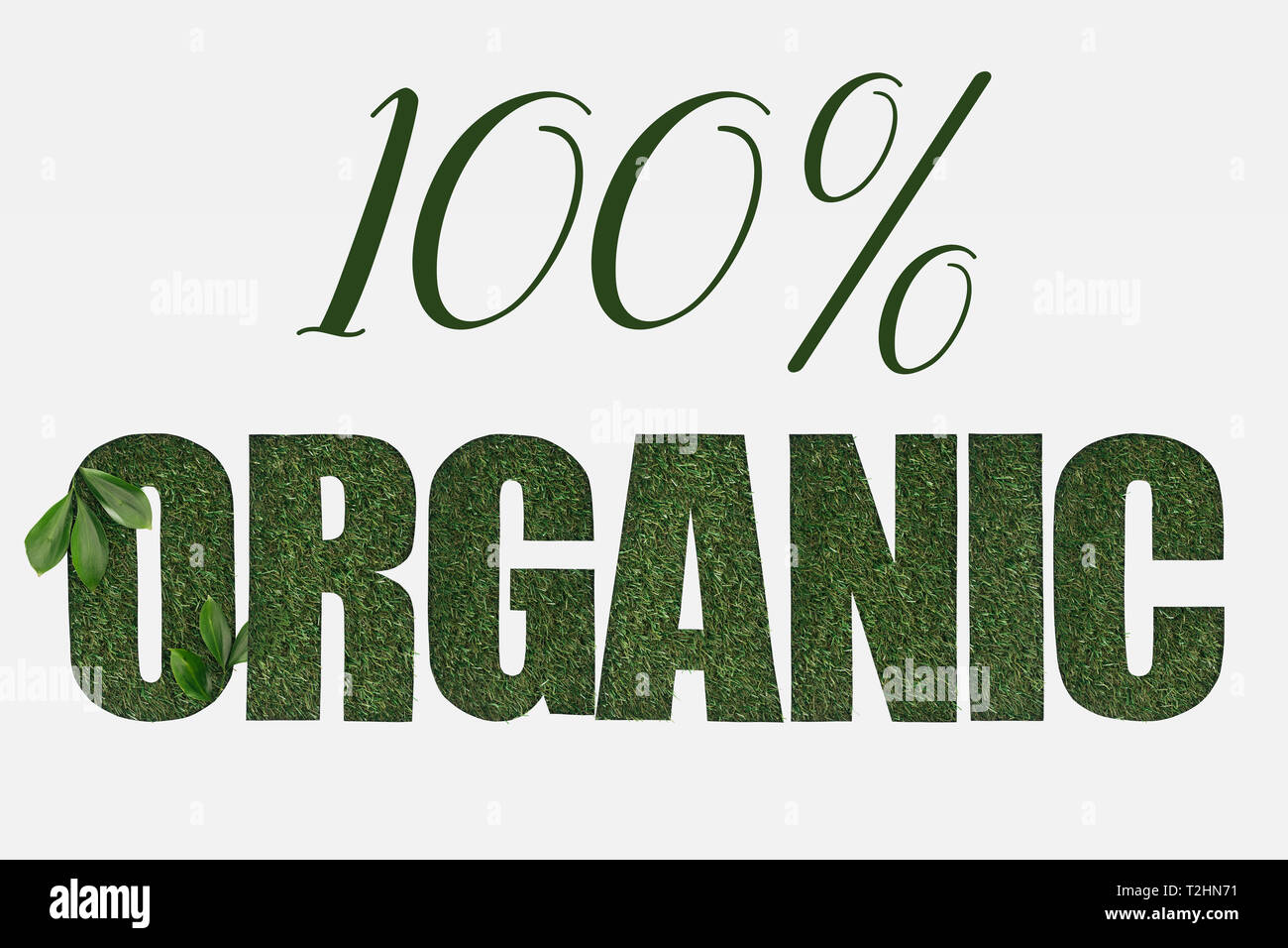 top view of 100 % organic lettering with green leaves isolated on white ...