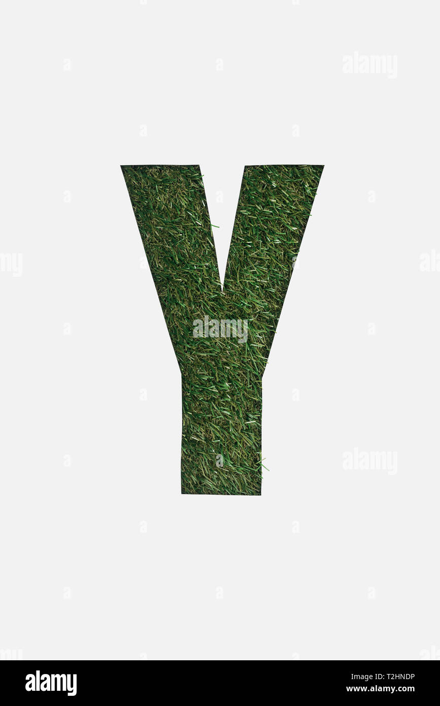 top view of cut out Y letter on green grass background isolated on ...