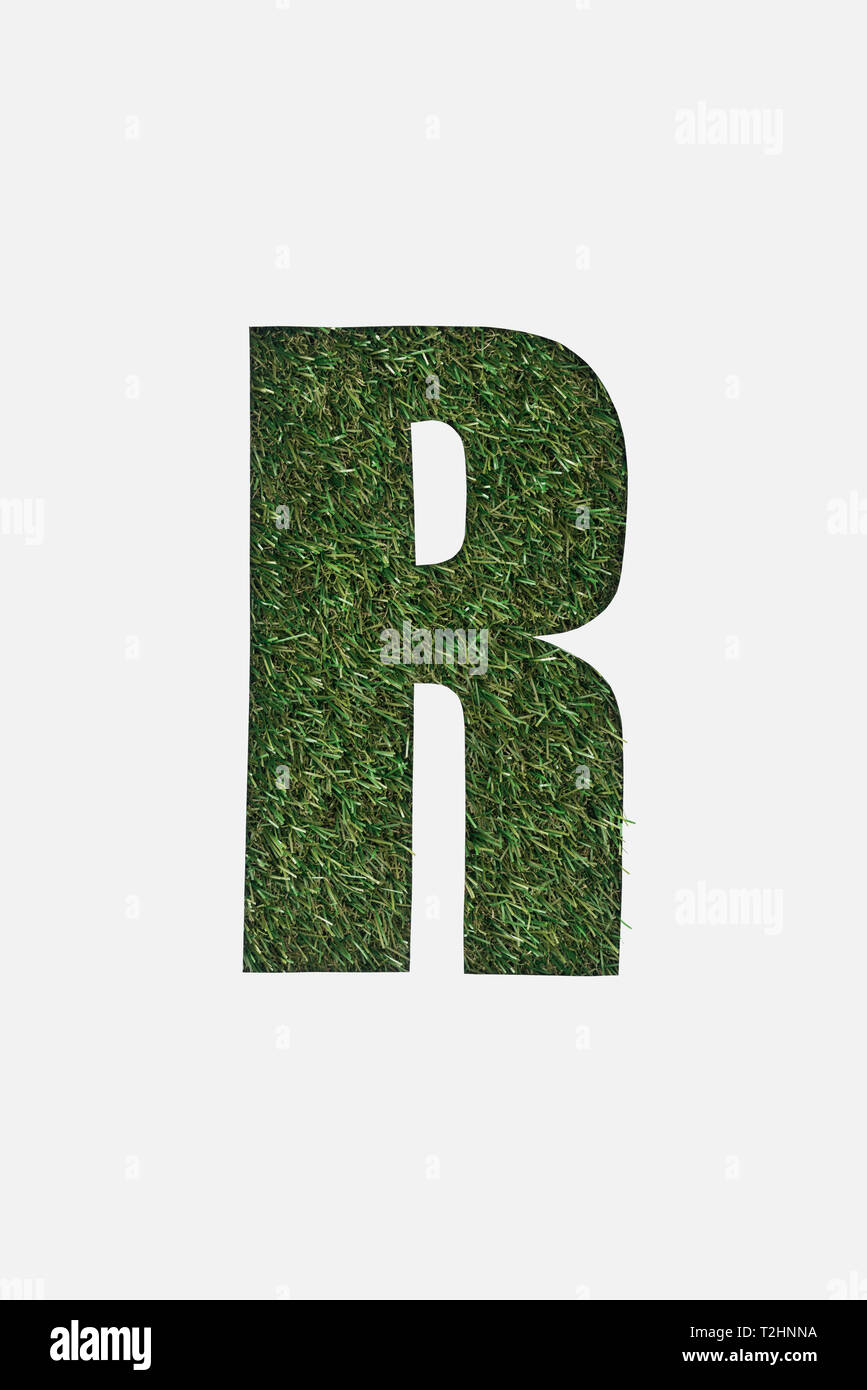 top view of cut out R letter on green grass background isolated on ...