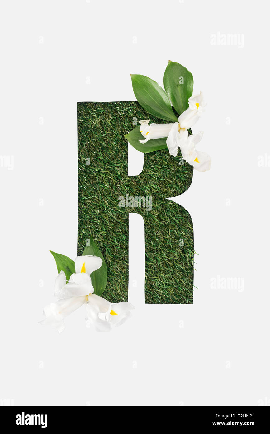 Letter r flowers hi-res stock photography and images - Alamy