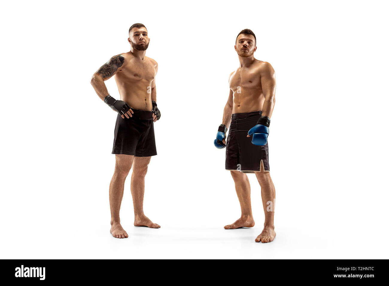 MMA. Two professional fightesr posing isolated on white studio ...