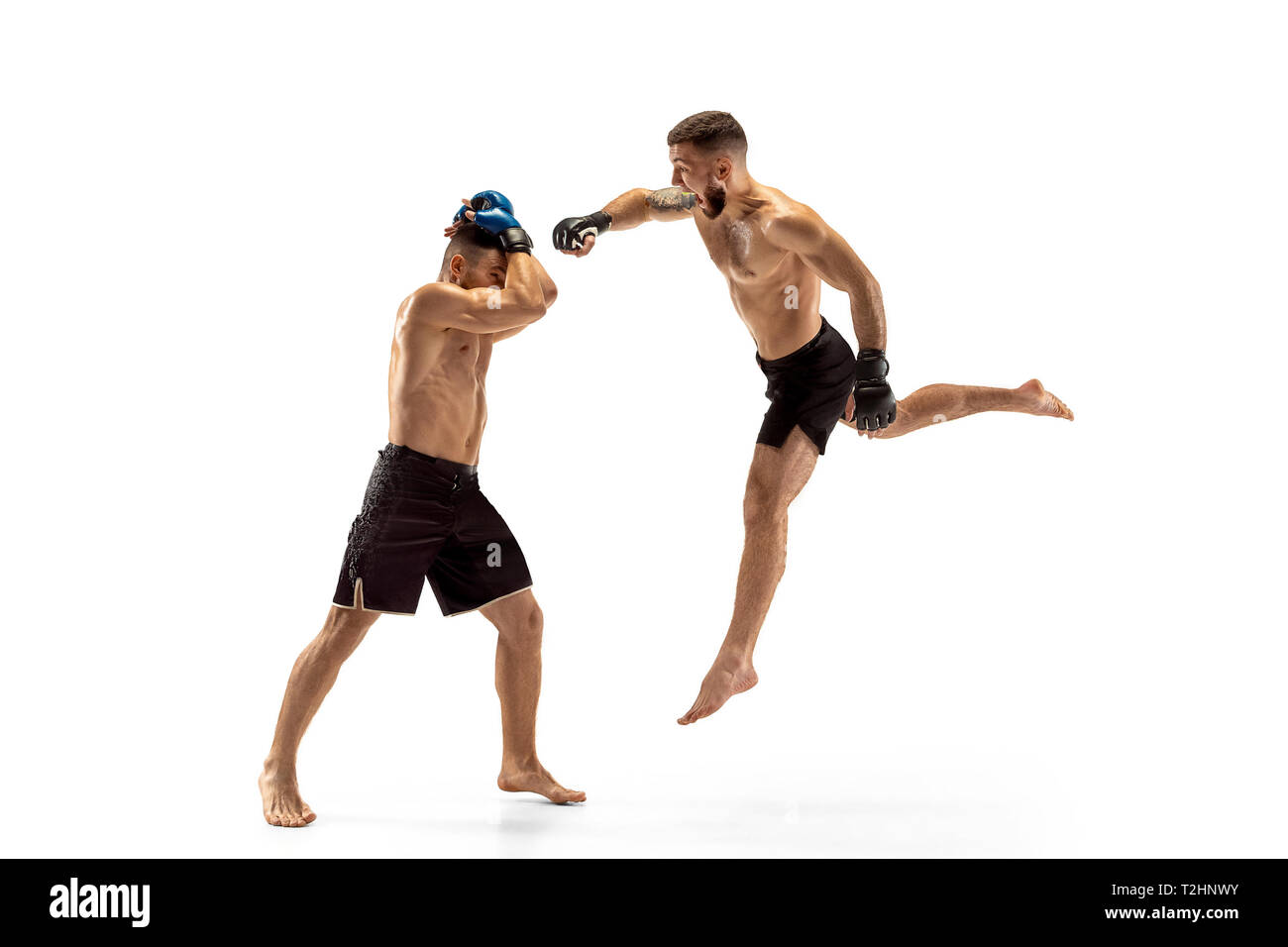 MMA. Two professional fightesr punching or boxing isolated on white ...