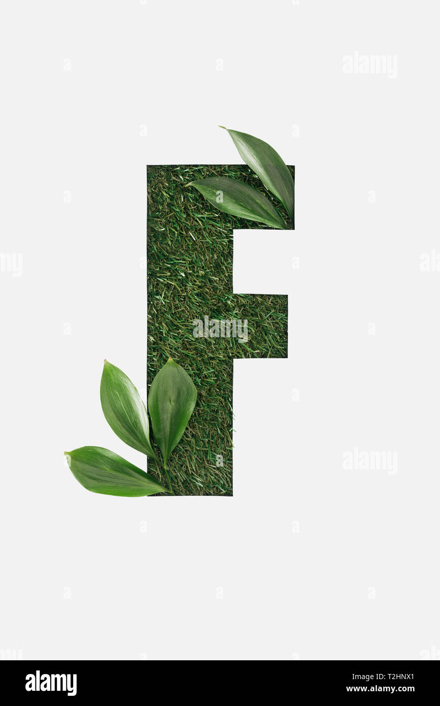 top view of cut out F letter on green grass background with leaves ...
