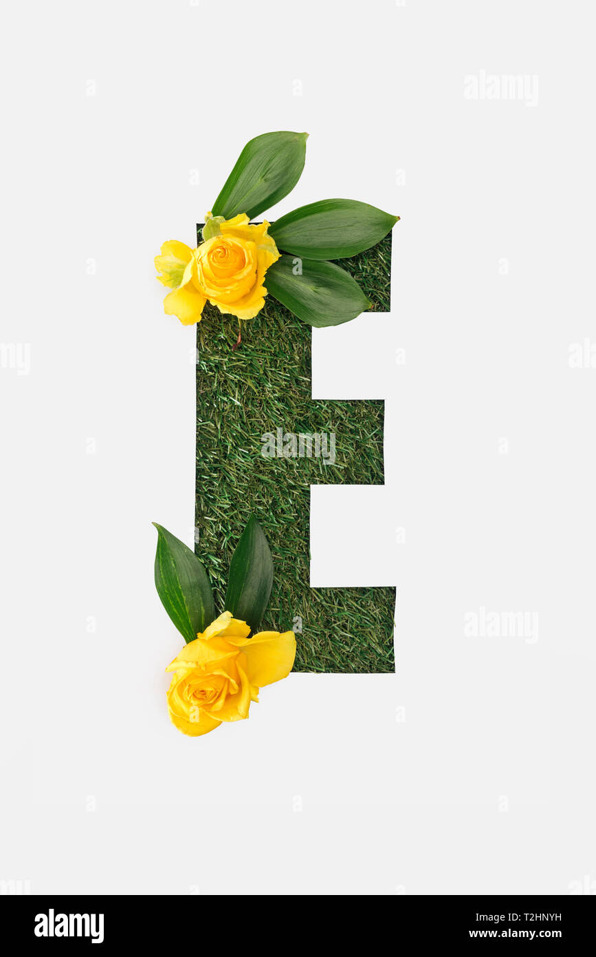 top view of cut out E letter on green grass background with leaves and ...