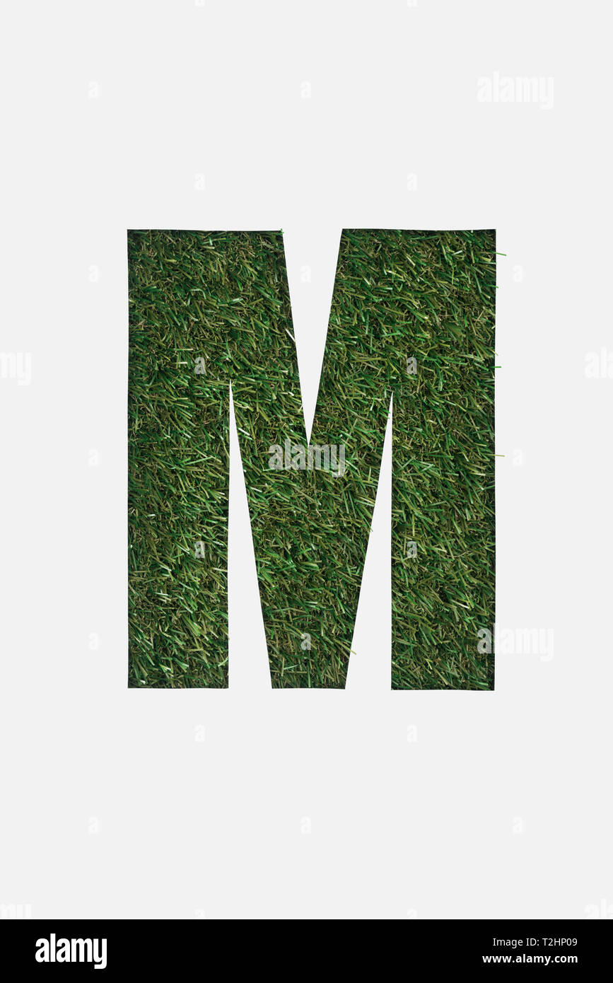 top view of cut out M letter on green grass background isolated on ...
